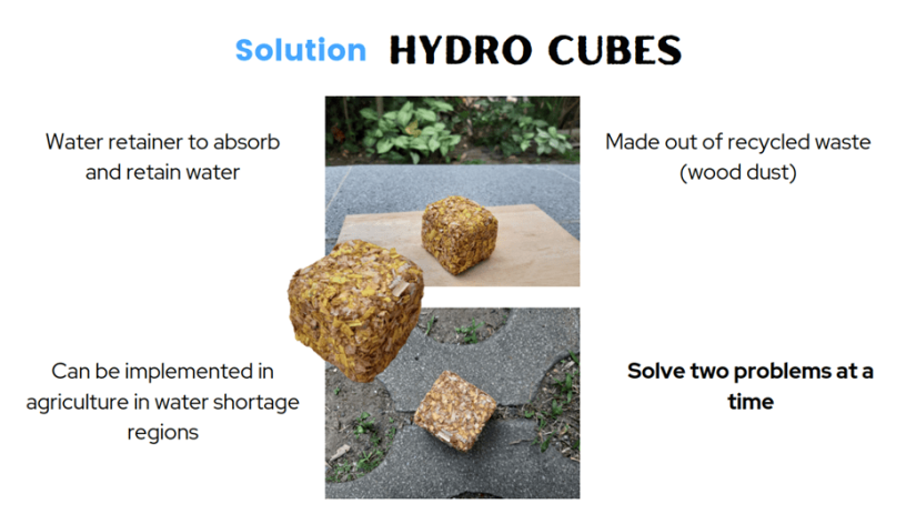 Inovasi Atasi Kekeringan Menggunakan Hydro Cubes, Tim Gama Future Raih ...